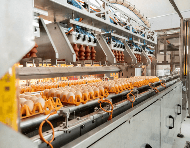 Tanmiah Annual Report 2023